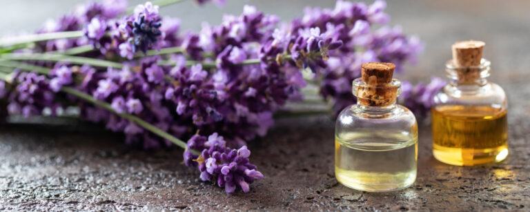12 Ways to Treat Dementia at Home Naturally